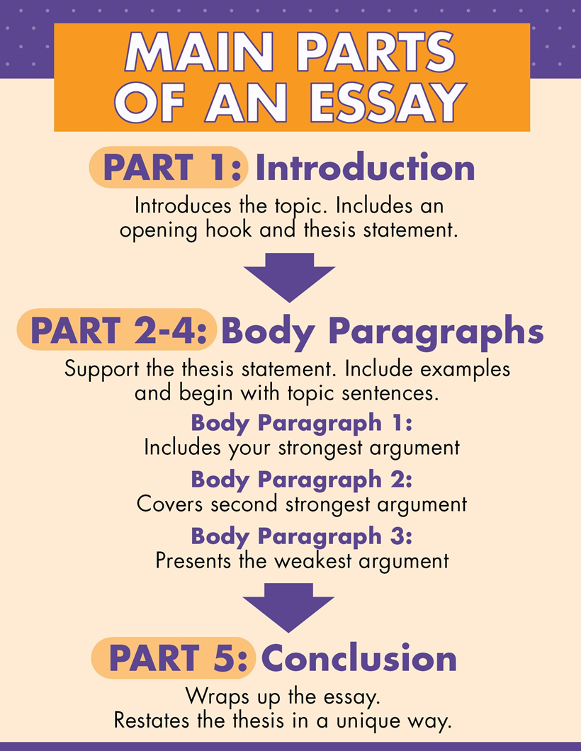 What is An Essay? – Read It Yourself Educational Resources