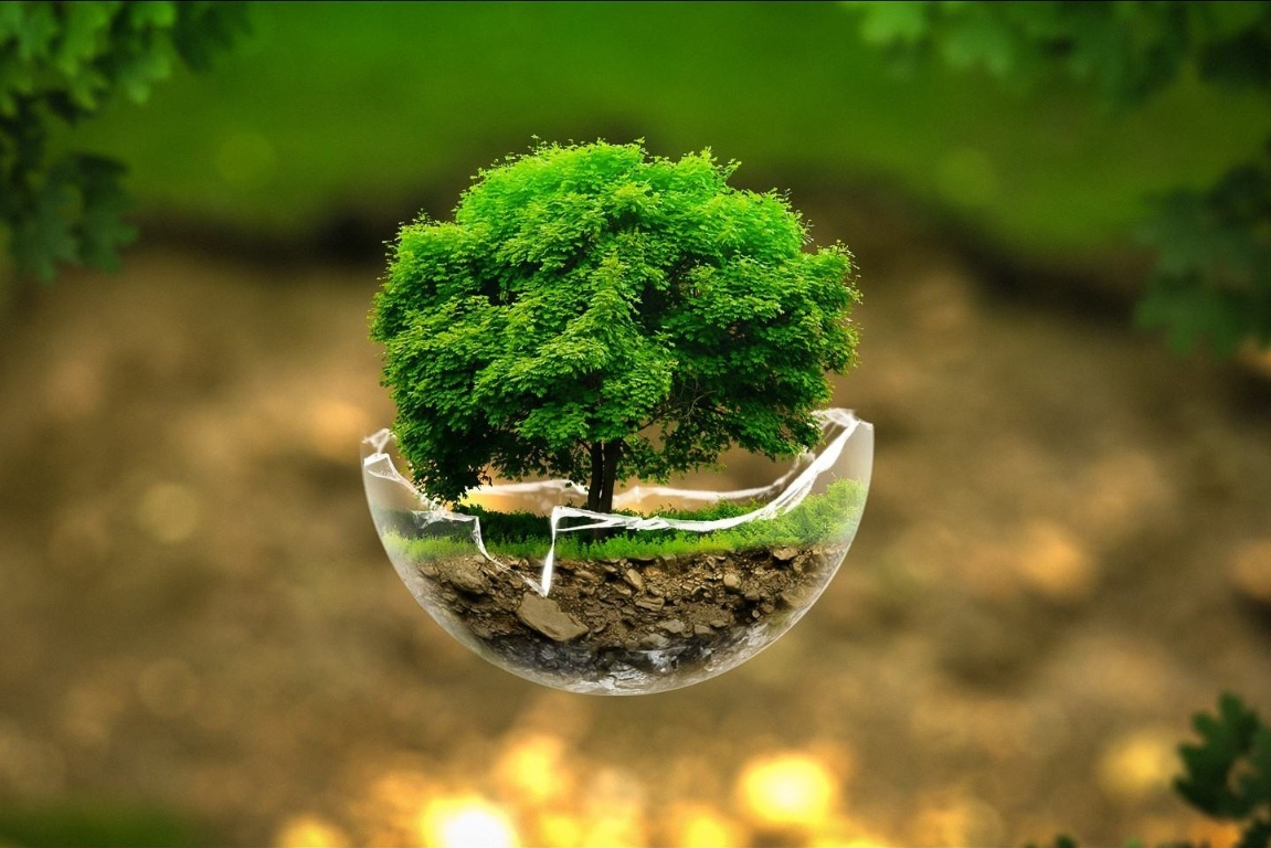 Uncovering the Environmental Impact of Non-Organic Farming Methods ...